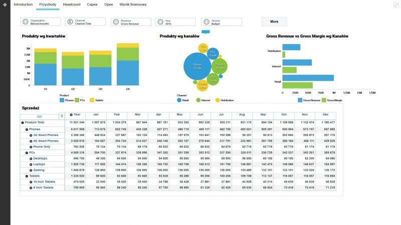 IBM Planning Analytics (TM1)